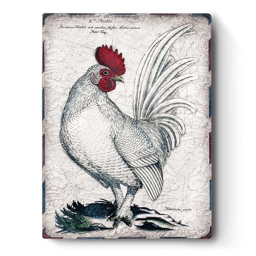 Sid Dickens Memory Blocks – Page 3 – Crafted Decor