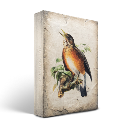 T 554 Sweet Melody Retired Sid Dickens Memory Block – Crafted Decor
