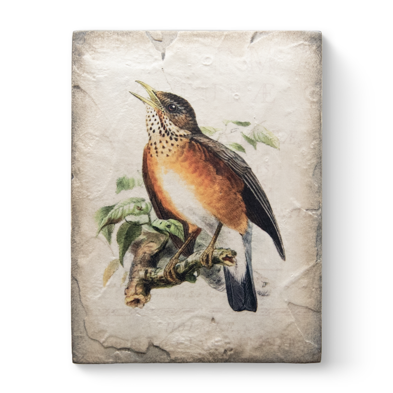 T 554 Sweet Melody Retired Sid Dickens Memory Block – Crafted Decor